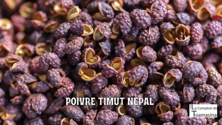 Baie de Timur - Wayapi Agência